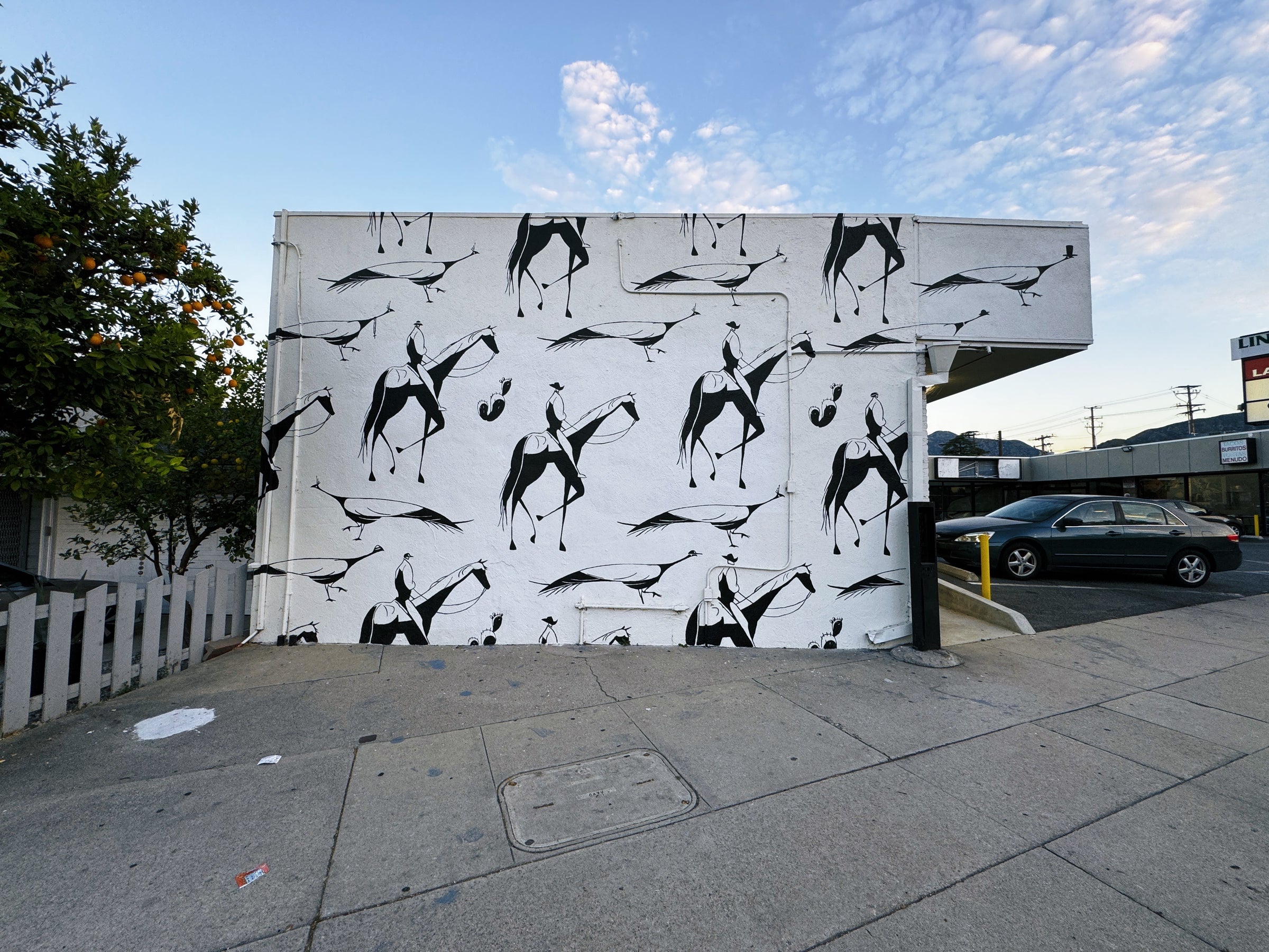 Unincorporated Mural Project